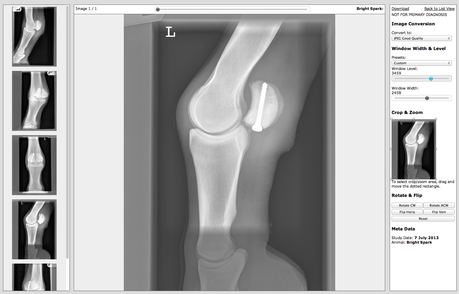 Veterinary | Eclipse Veterinary Software