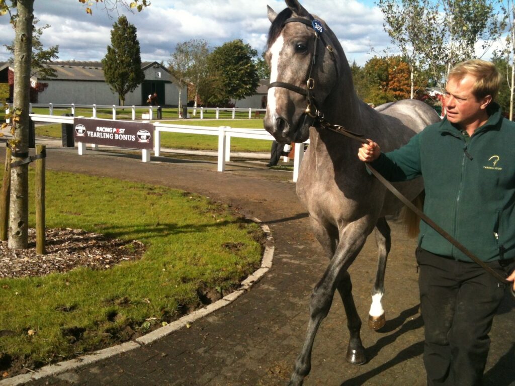 About us | Eclipse Veterinary Software