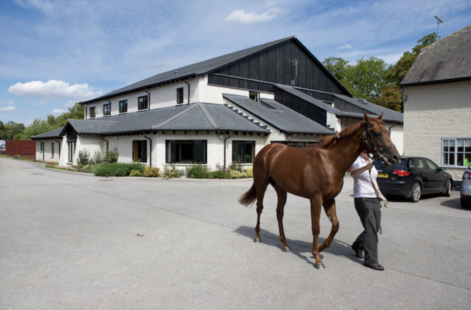 Veterinary | Eclipse Veterinary Software